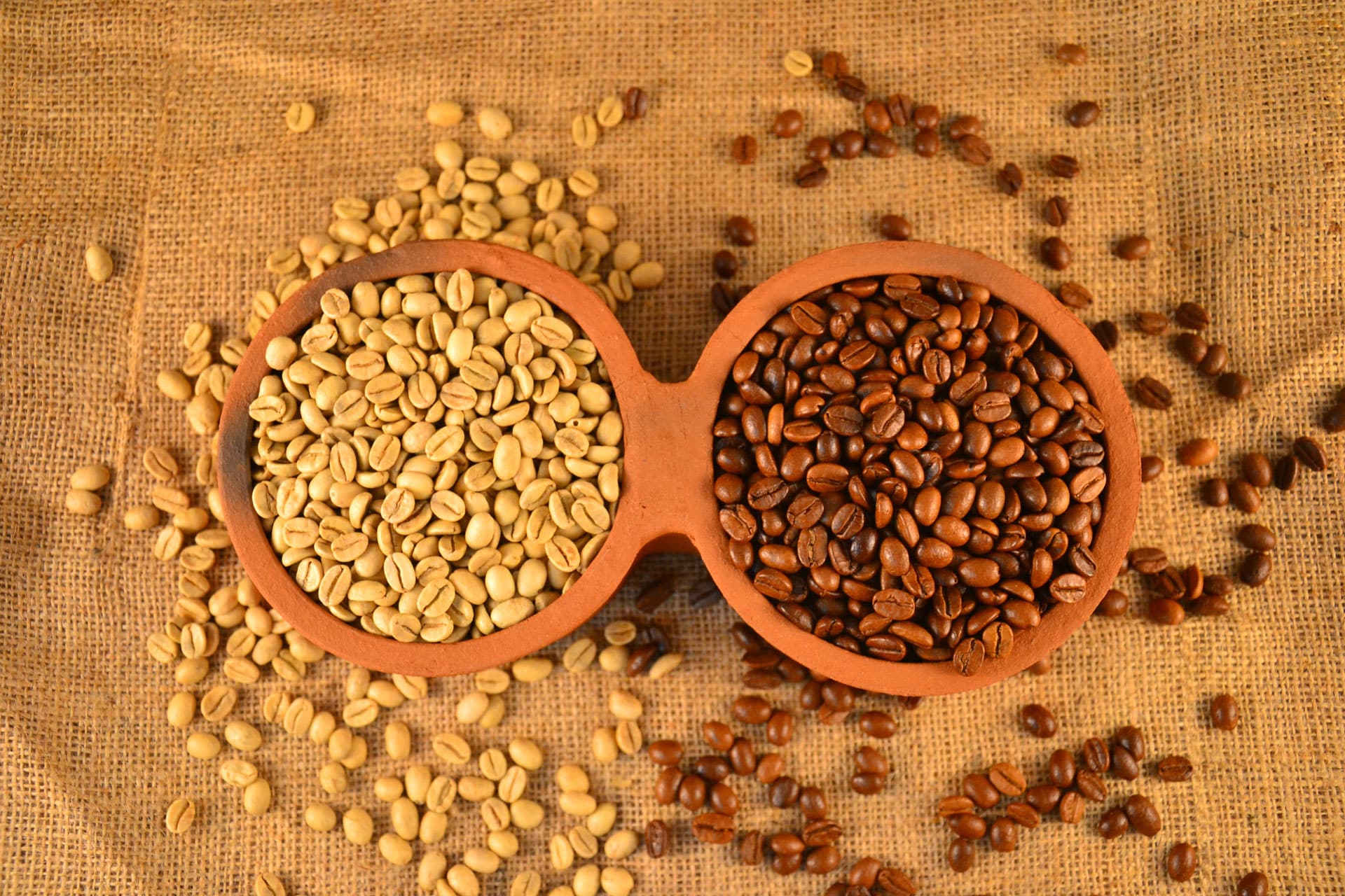India AI Impact Summit 2026 Showcases Bharat GI Coffee Lounge in Delhi