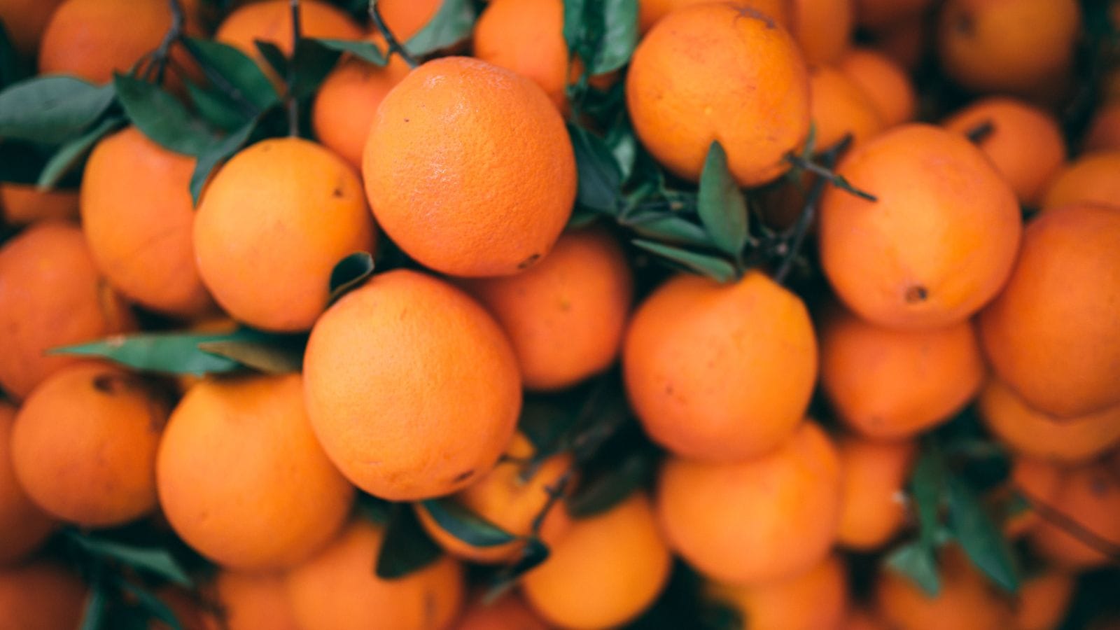 GK: Which City Is Known As The Orange City Of India?