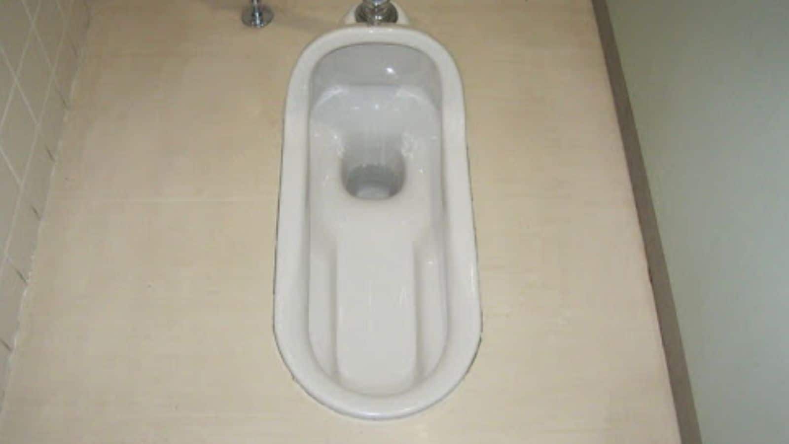 This Strange Toilet Habit Comes With Real Health Benefits: Can It ...
