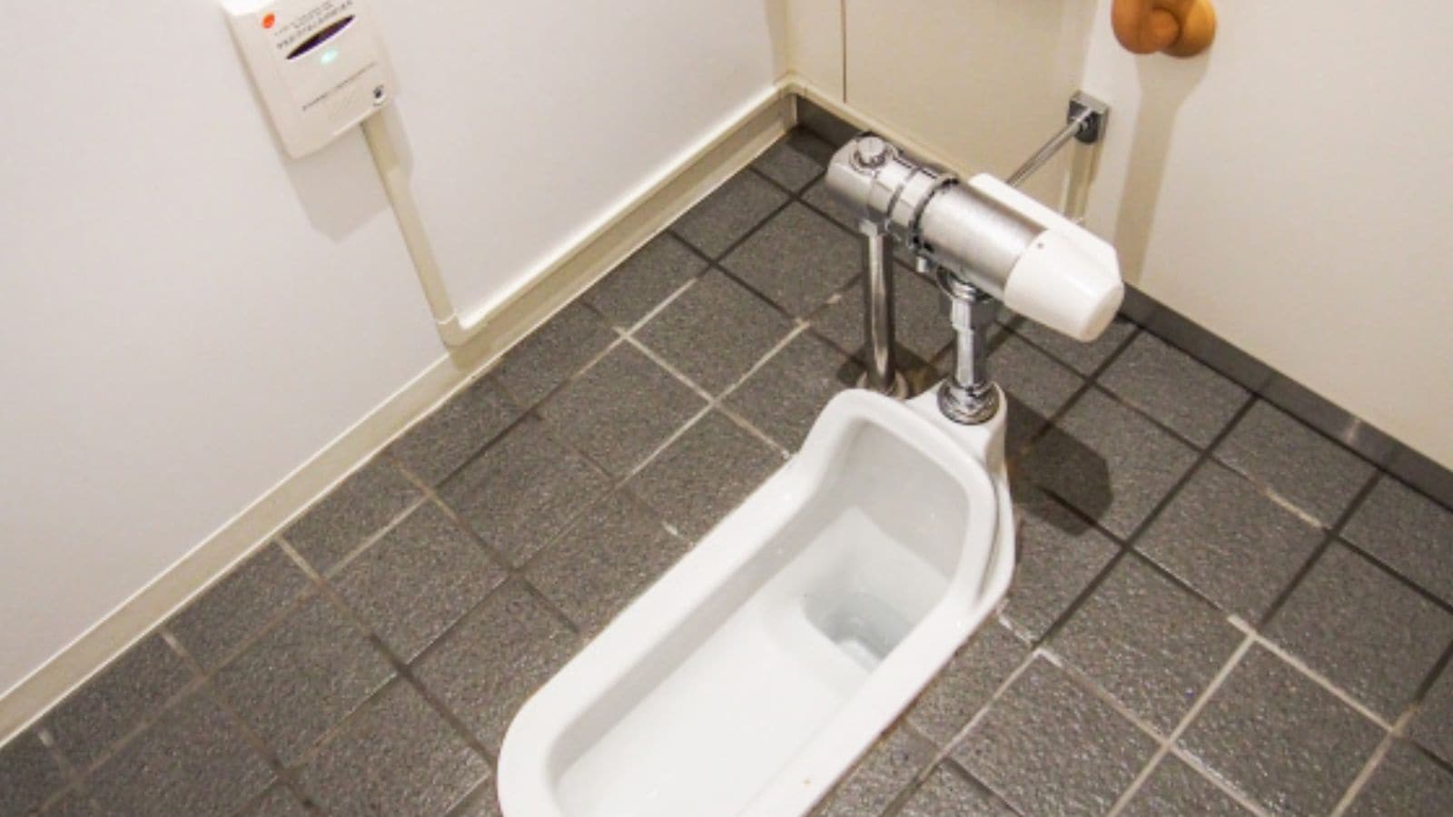 This Strange Toilet Habit Comes With Real Health Benefits: Can It ...