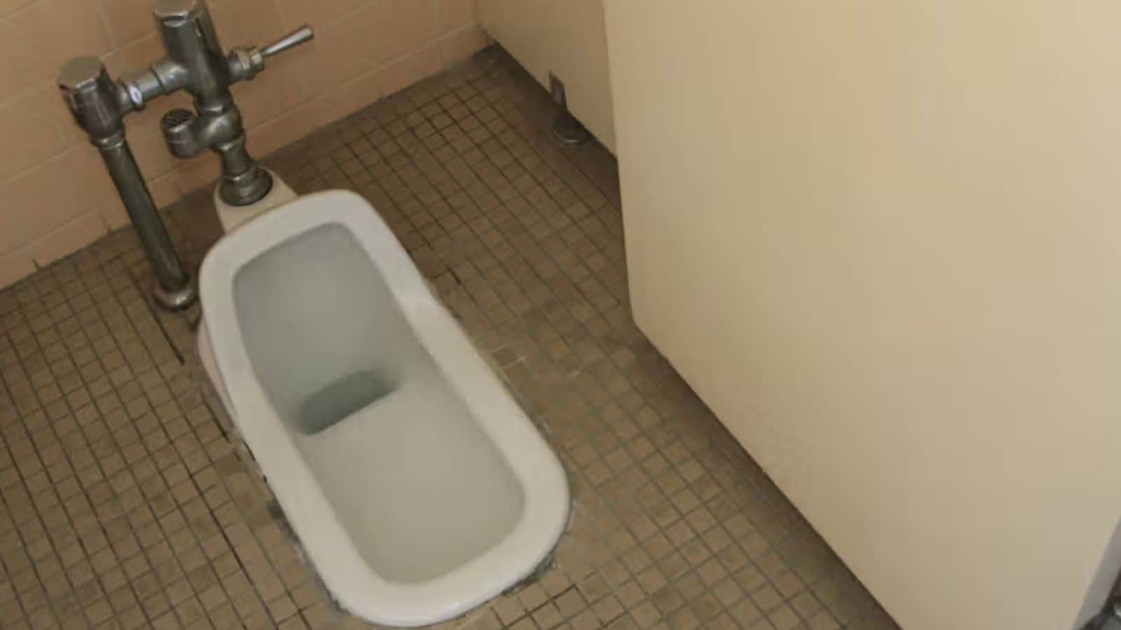 This Strange Toilet Habit Comes With Real Health Benefits: Can It ...
