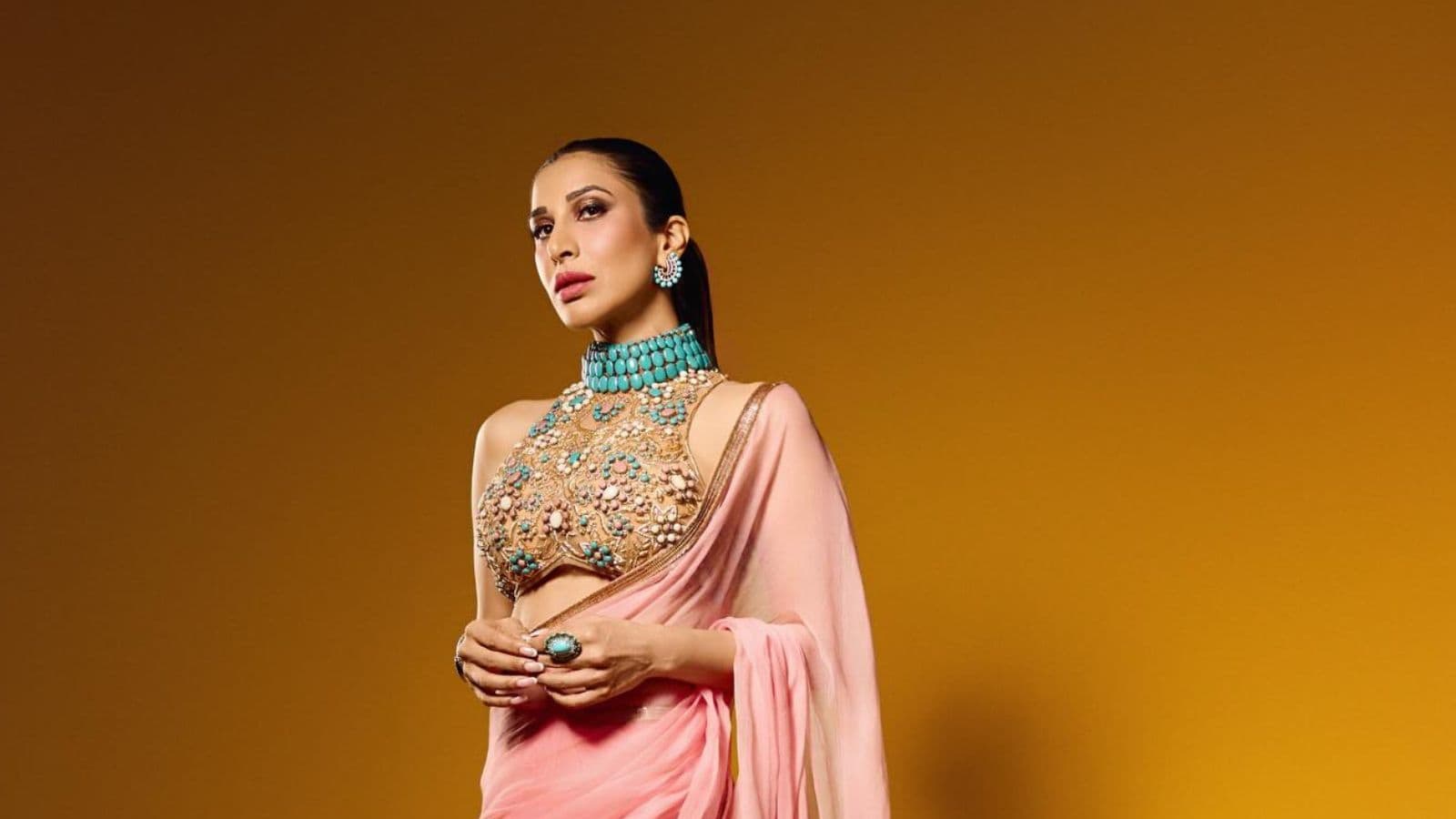 She Faced Camera At 12, Worked With Salman Khan & Akshay Kumar, Quit ...