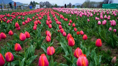 J-K LG Manoj Sinha Orders Reopening Of 14 Tourist Sites Shut After ...