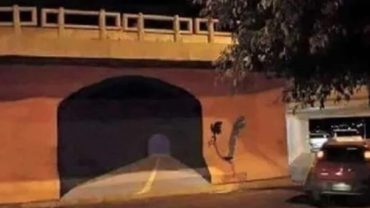 Years Later, This Painted ‘Road Runner Tunnel’ Is Still Tricking People