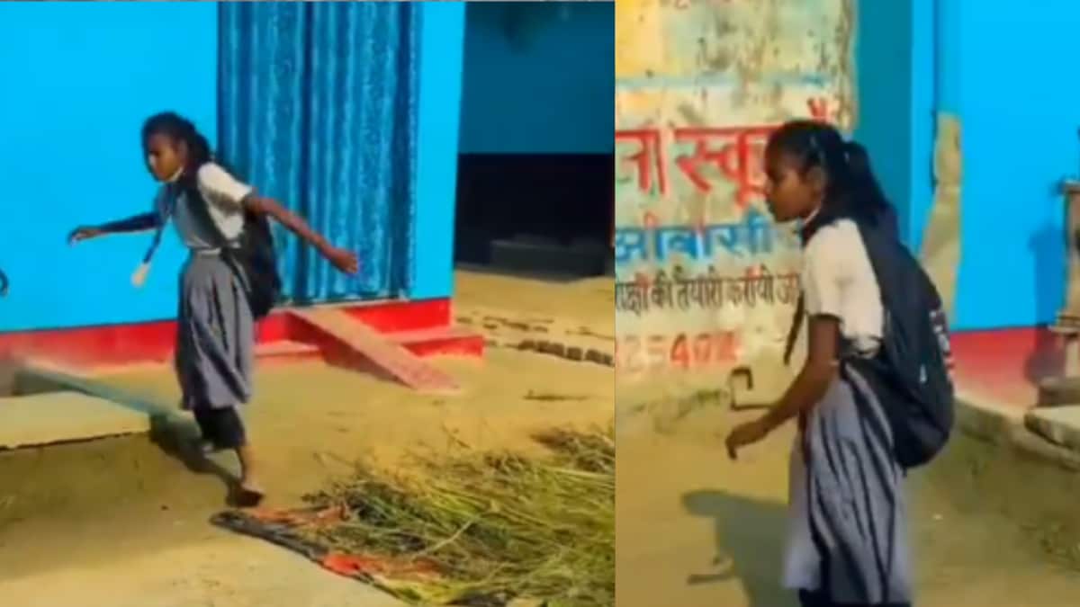 Bihar Disabled Teen Walks 2 Km Daily To School In Viral Video, Govt ...