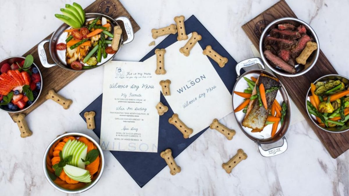 Luxury Dining Goes Pet-Friendly: Inside The Rise Of Gourmet Menus For ...