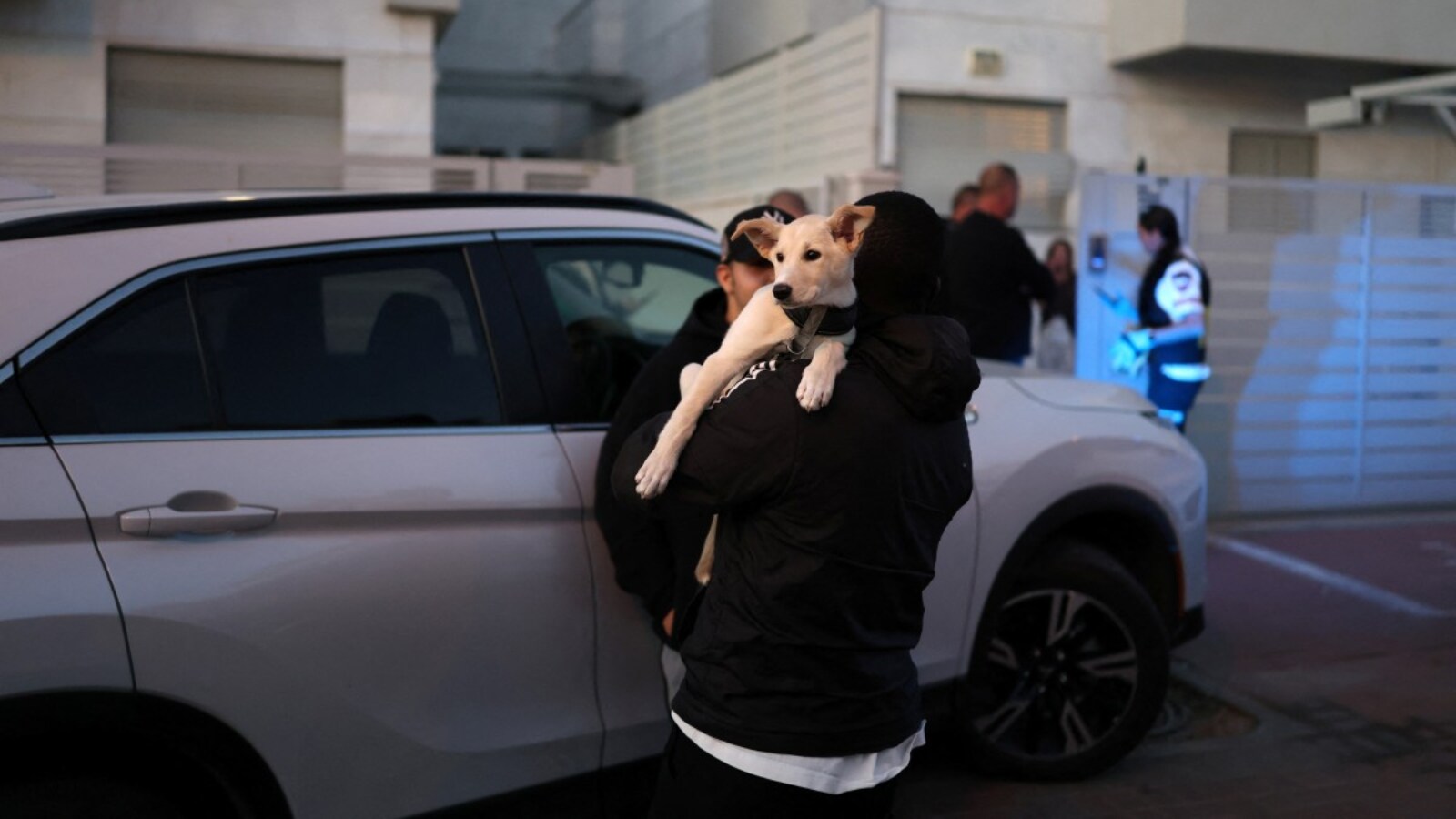 When Conflict Strikes, Do Pets Pay The Price? Meet The Unseen Victims ...