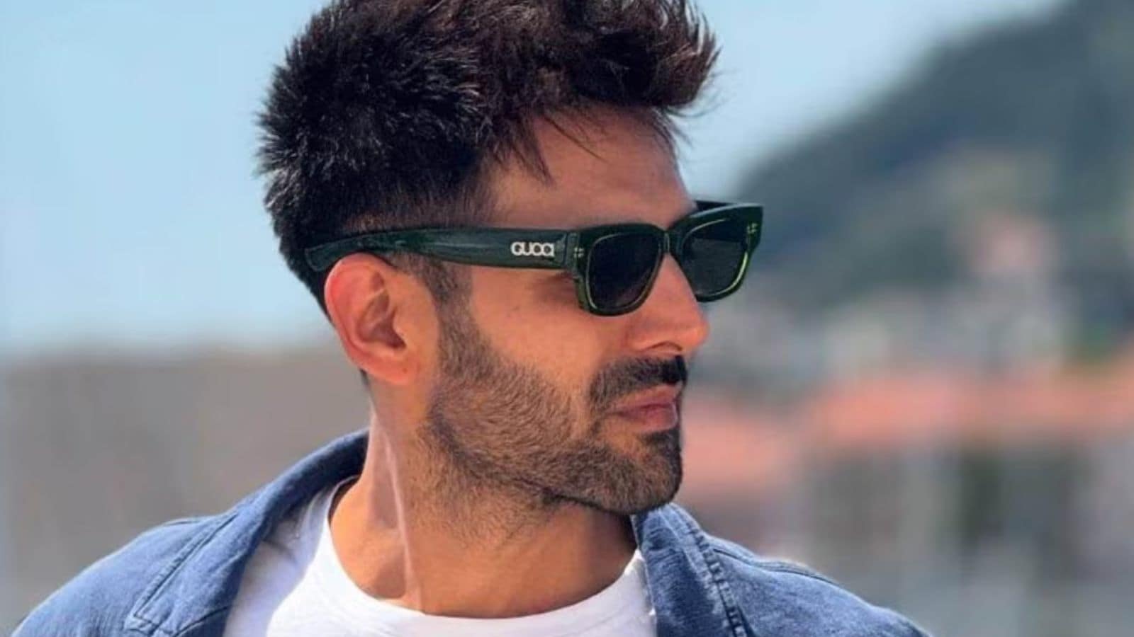 Not Kartik Aaryan, But This Chhaava Actor Was First Choice For Luka ...