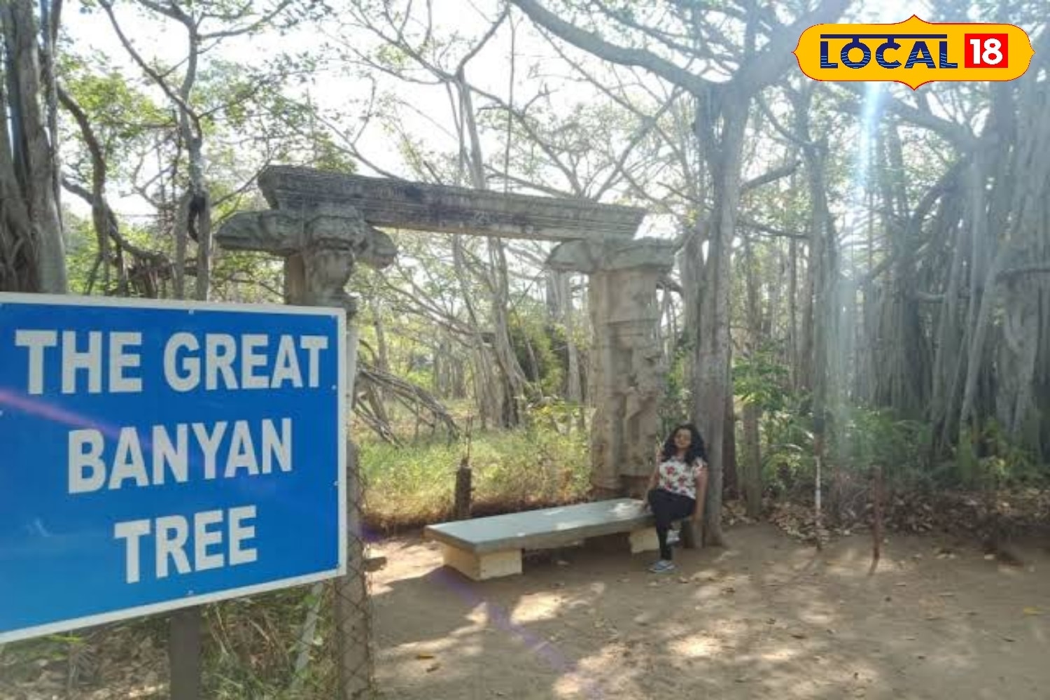 Where In Chennai Can You Find This 450-Year-Old Banyan Tree That Is A ...