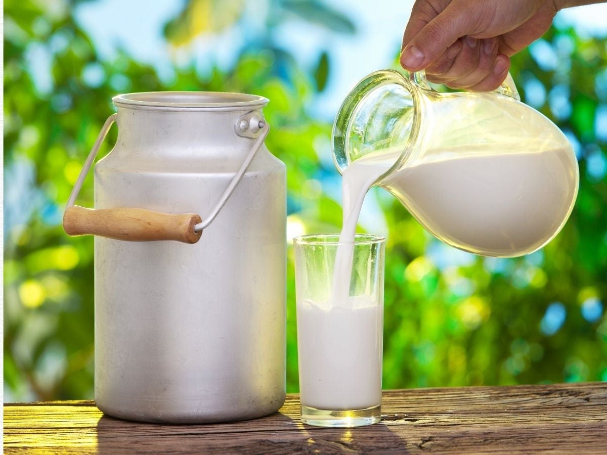 KOMUL Milk Prices To Rise From March 18 | Check Revised Rates