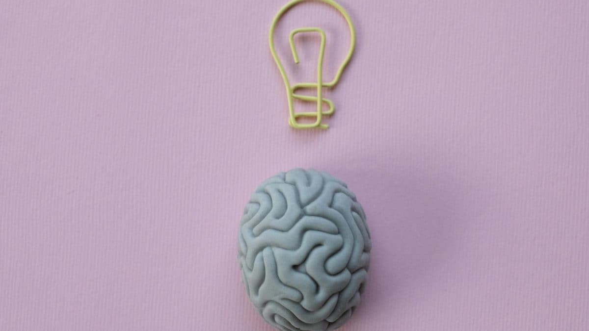 Brain Awareness Week: What Is EEG That Can Diagnose Seizures For People ...
