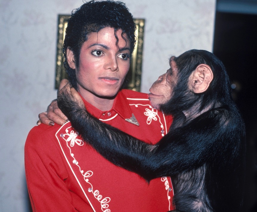 Michael Jackson’s Pet Chimp Bubbles Appears In Michael, But Where Is He ...