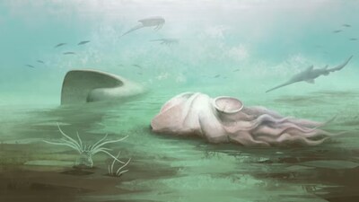 Why Is A 300-Million-Year-Old 'Octopus' Trending? The Fossil Everyone ...