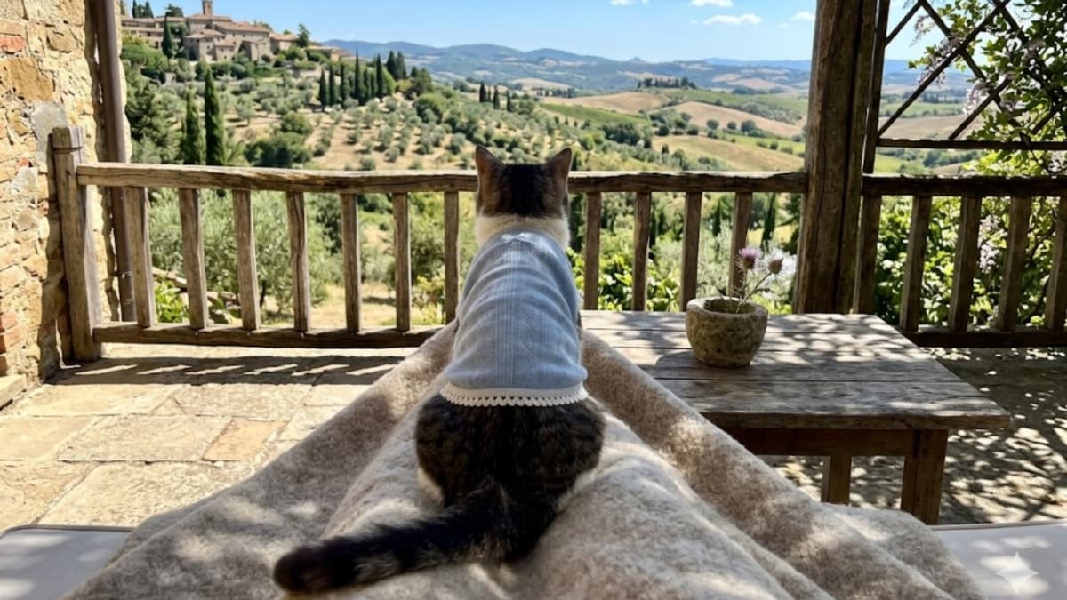 The Pawprint Planners: How Pet-Friendly Travel Is The Next Big Travel ...