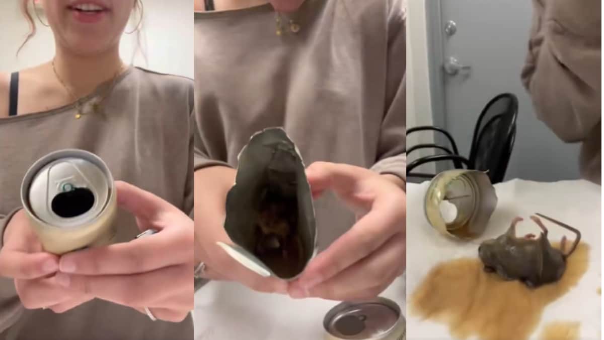 Starbucks canned coffee mouse claim sparks viral backlash and doubt ...