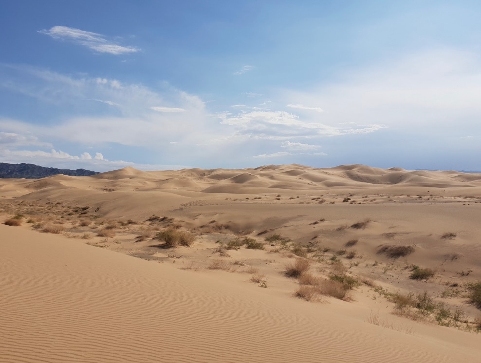 Which Is The Largest Desert In Asia?