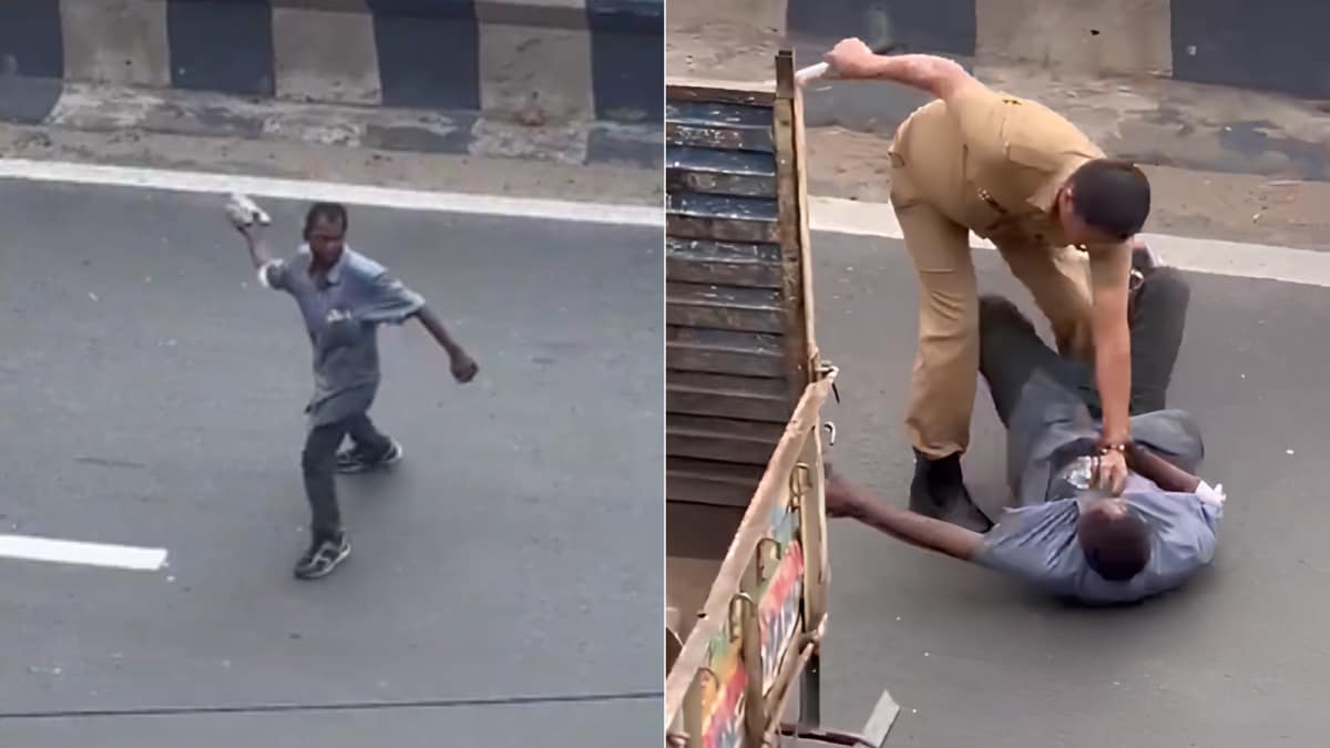'A Normal Day In India': Kolkata Man Throws Rocks At Cars, Tries To ...