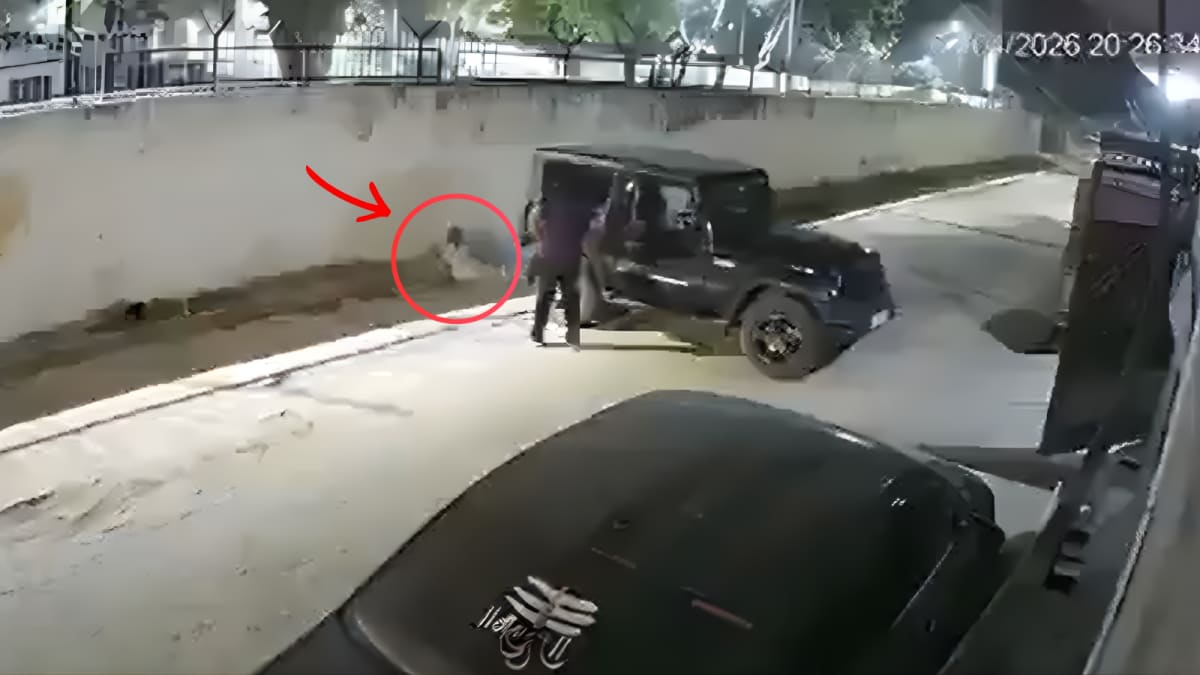 Viral Video: Grandson’s Parking Error Turns Fatal As Thar Rolls Back ...
