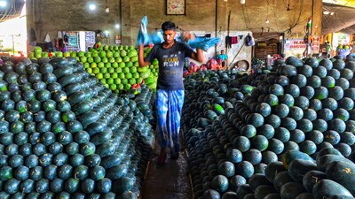 Mumbai Watermelon Deaths: ‘Bizarre’ Twist As Fruit Completely Vanishes ...