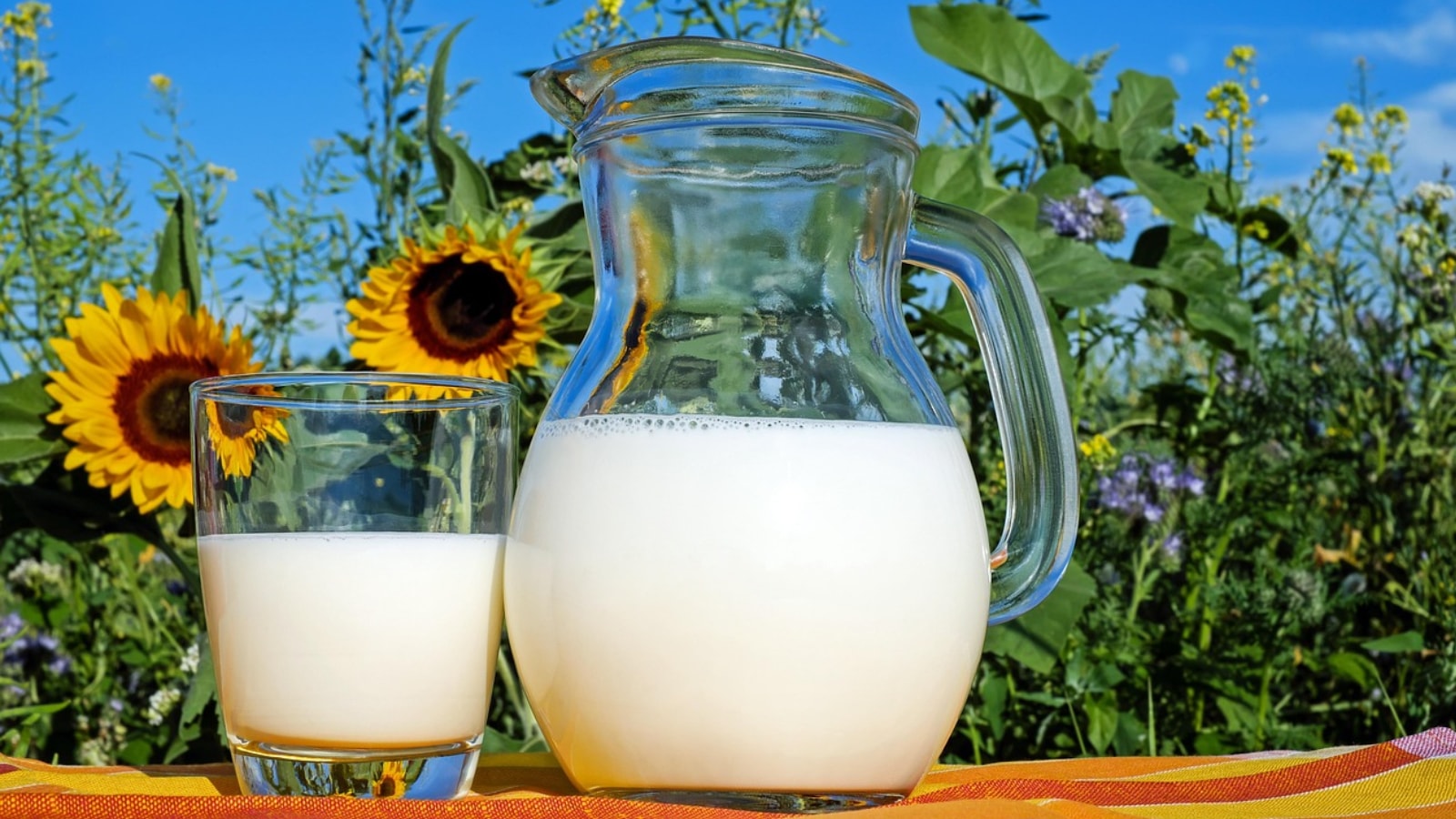 Celebrate World Milk Day With These Creamy Homemade Desserts