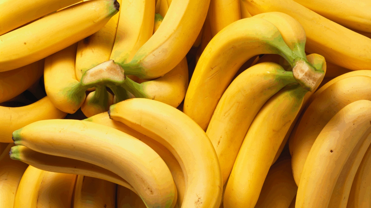 GK: Which City Is Known As The Banana Capital Of India?
