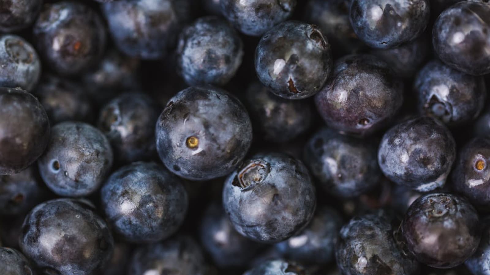 World Nutrition Day: 7 Superfoods Worth Adding To Your Daily Diet To ...