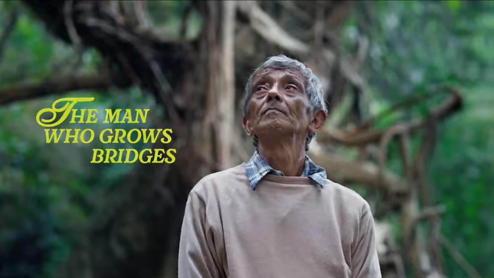 Meet The Man Behind Meghalaya’s Living Root Bridges: Hally War Gets ...