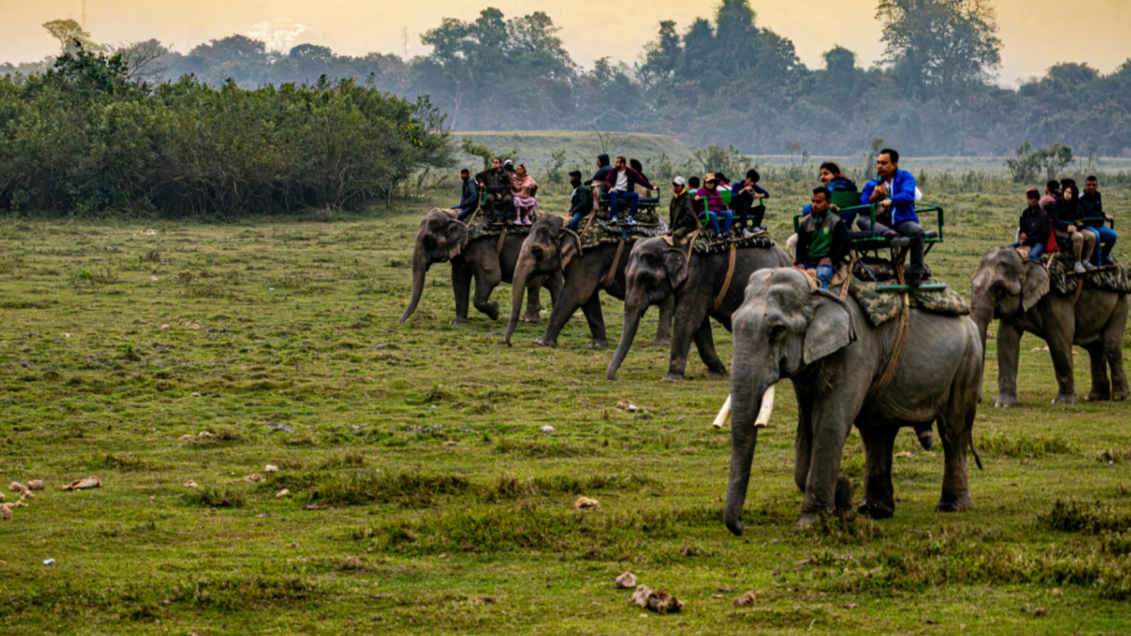 6 Indian Wildlife Safaris That Are Better In The Monsoon- And The ...