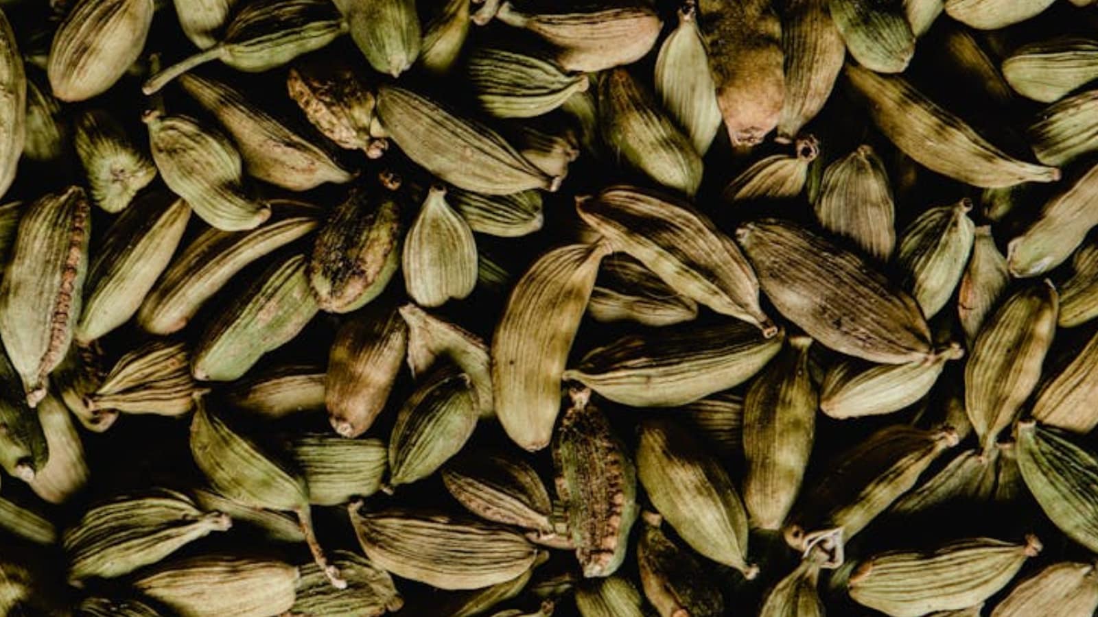 6 Desi Spices That Took Over International Cuisine