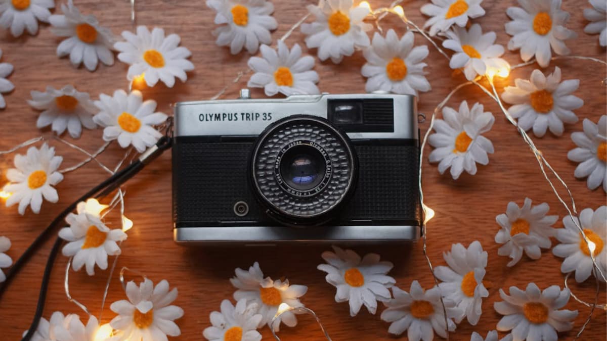 Retro digital cameras boom as Gen Z rejects perfect phone photos ...