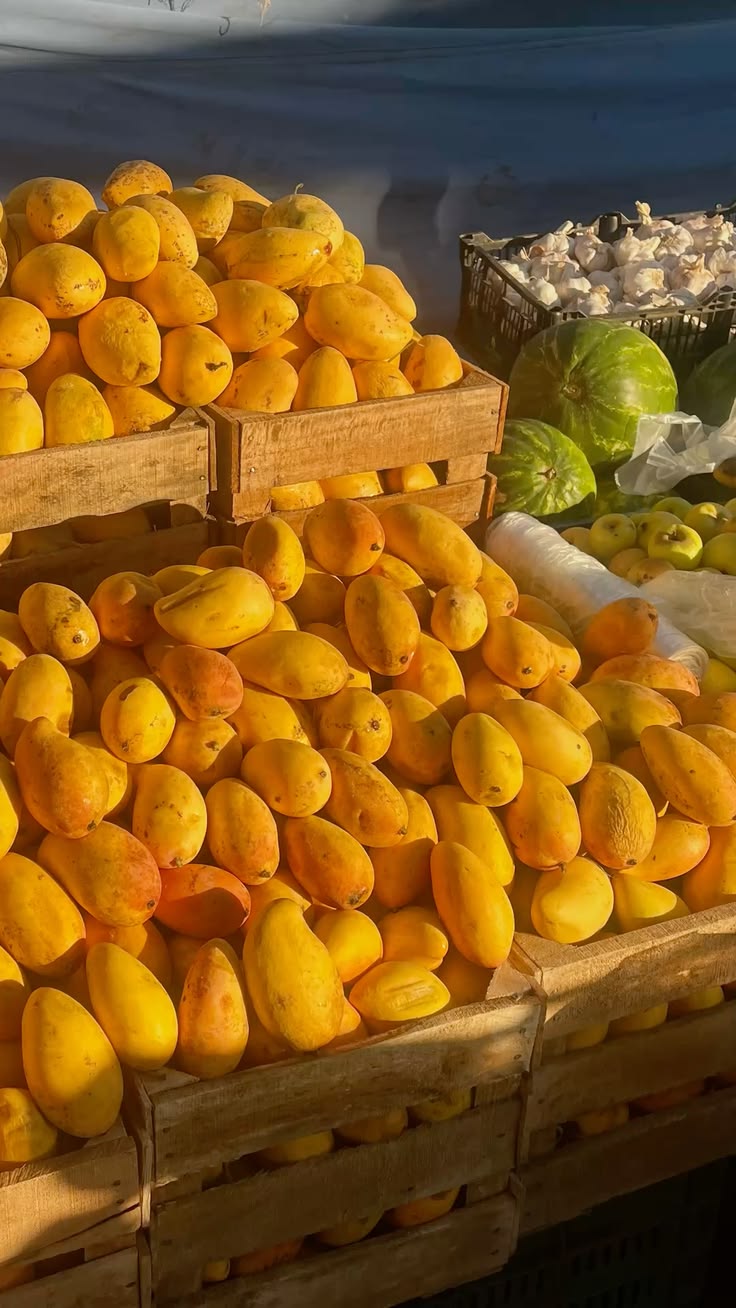 Tips And Tricks: How To Store Mango Pulp For A Long Time?