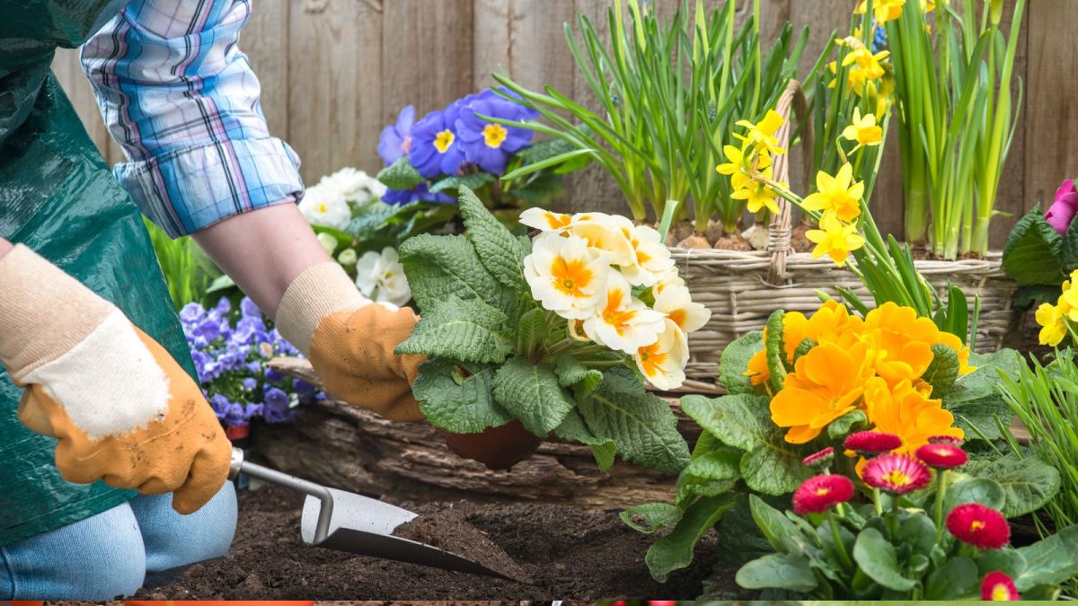 Turn Kitchen Waste Into Garden Gold: 5 Scraps That Make Perfect Organic ...