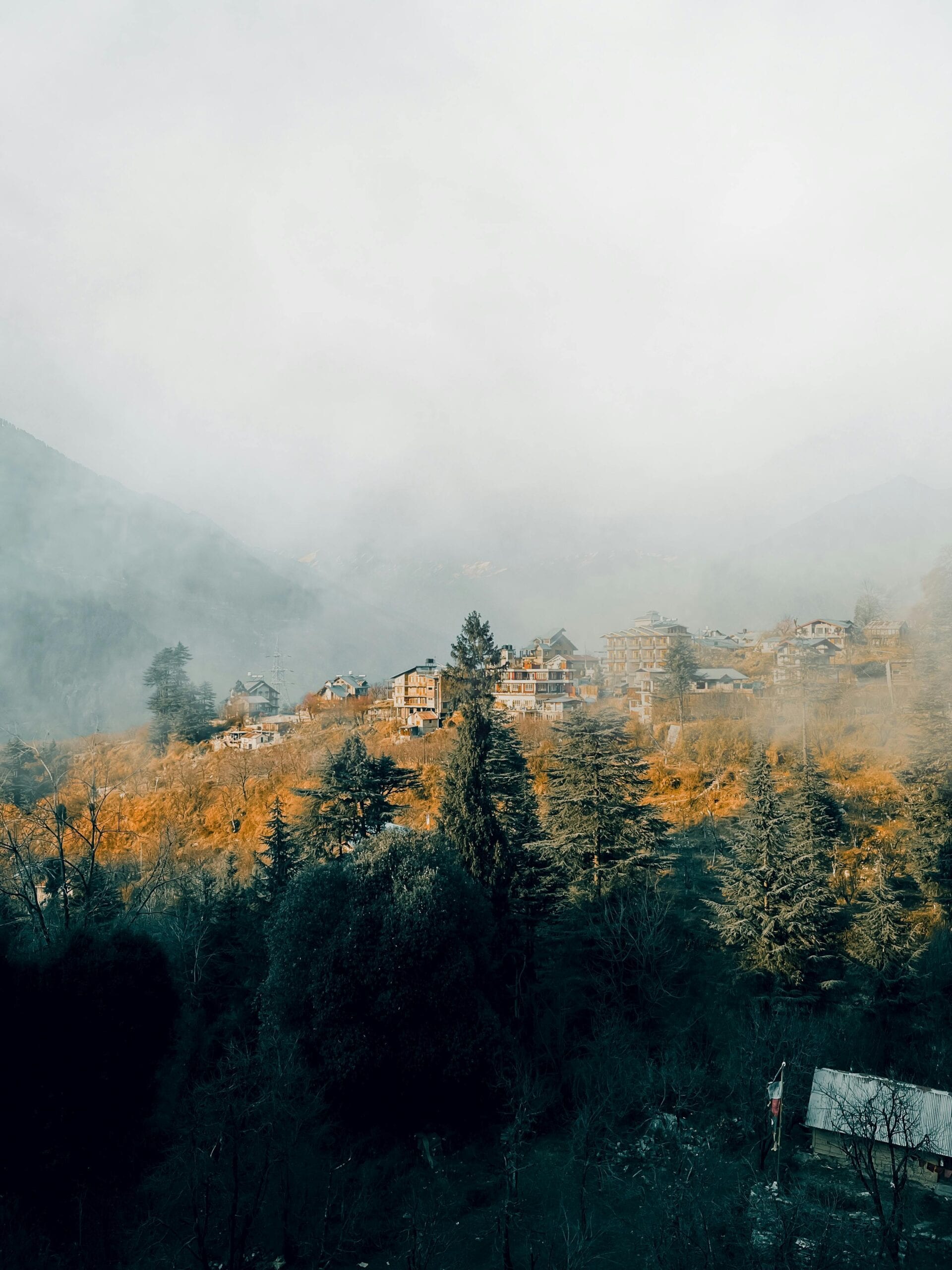 This Unique Village In Himachal Pradesh Hosted Every Indian President ...