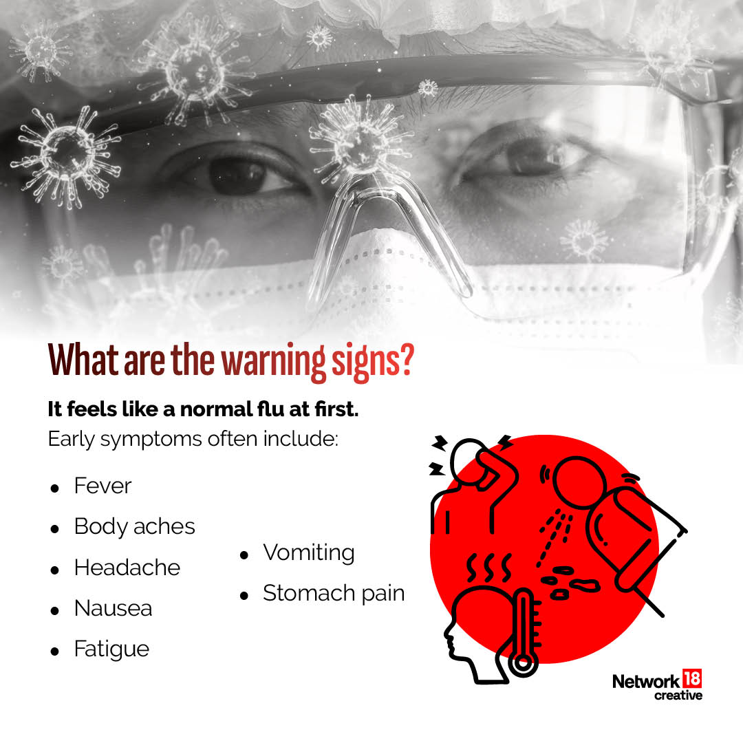 What Is Hantavirus Symptoms Causes And How It Spreads