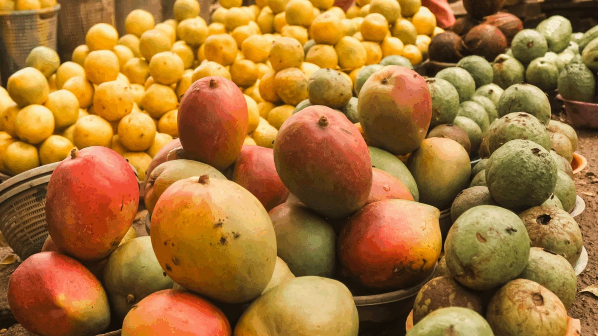 Mango Crisis: Why Japan Just Banned The 'King Of Fruits' – And Who Is ...
