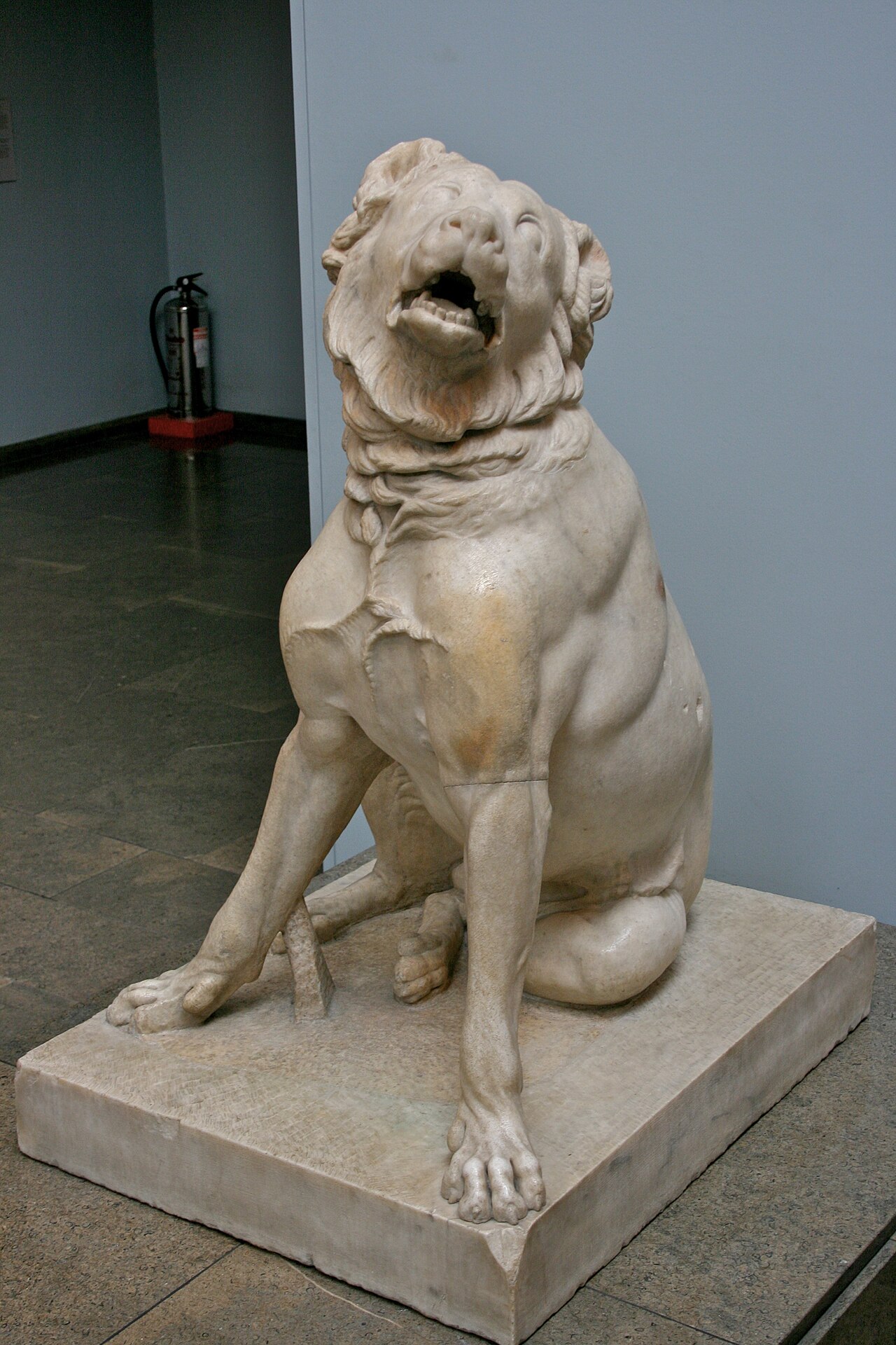 Top 10 Oldest Dogs In The World