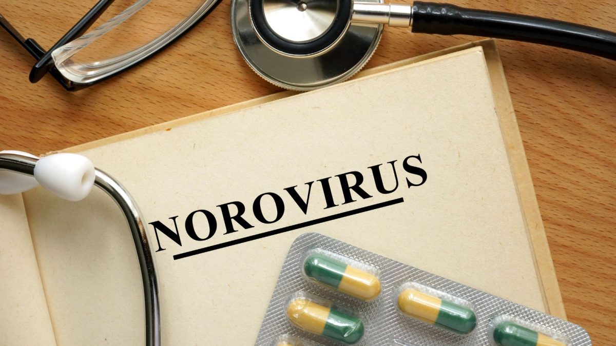 Norovirus Infection Explained: Symptoms, Causes, Treatment and ...
