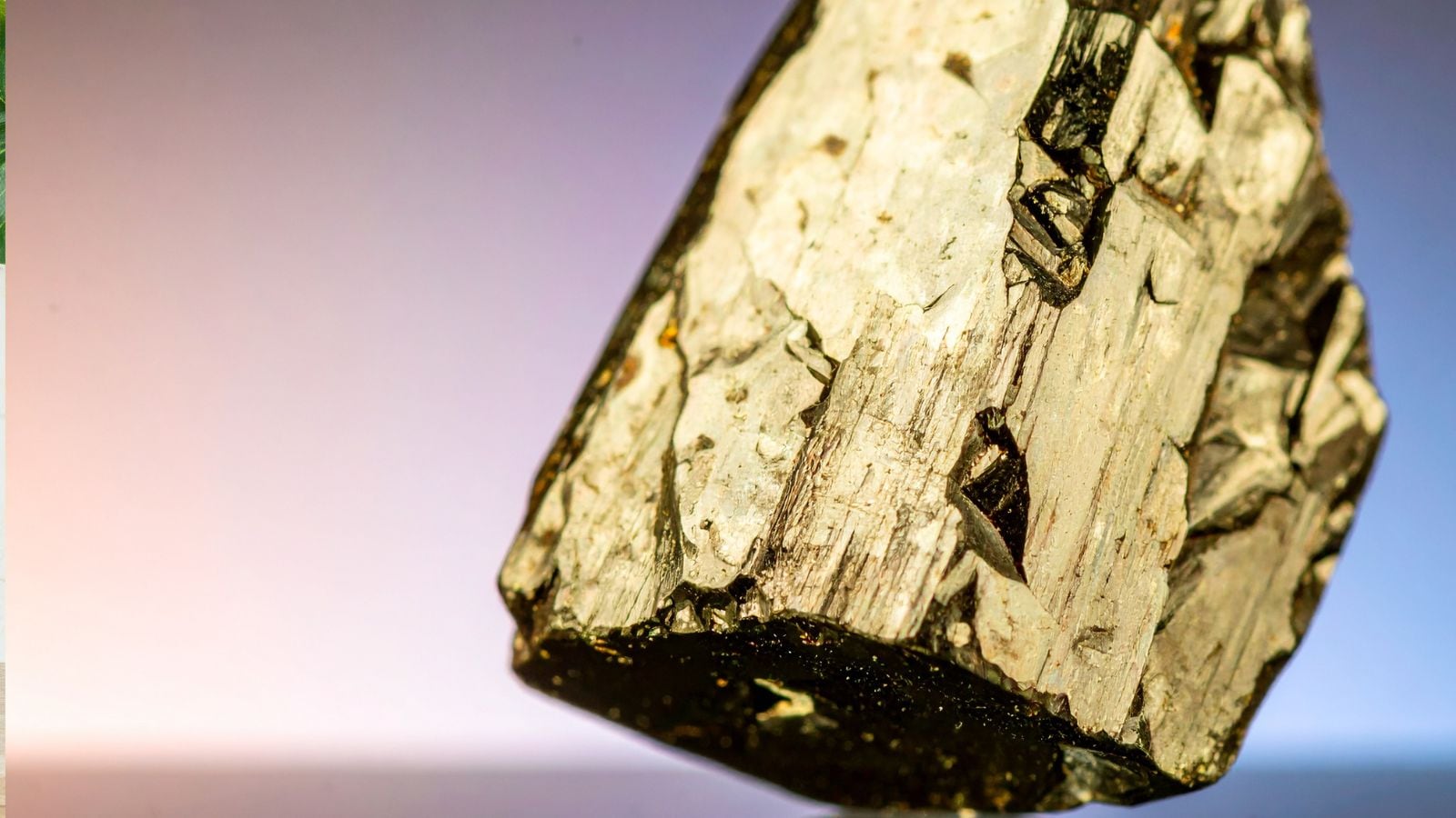 Forget The Money Plant, Bring This Feng Shui Stone Home For Money And ...