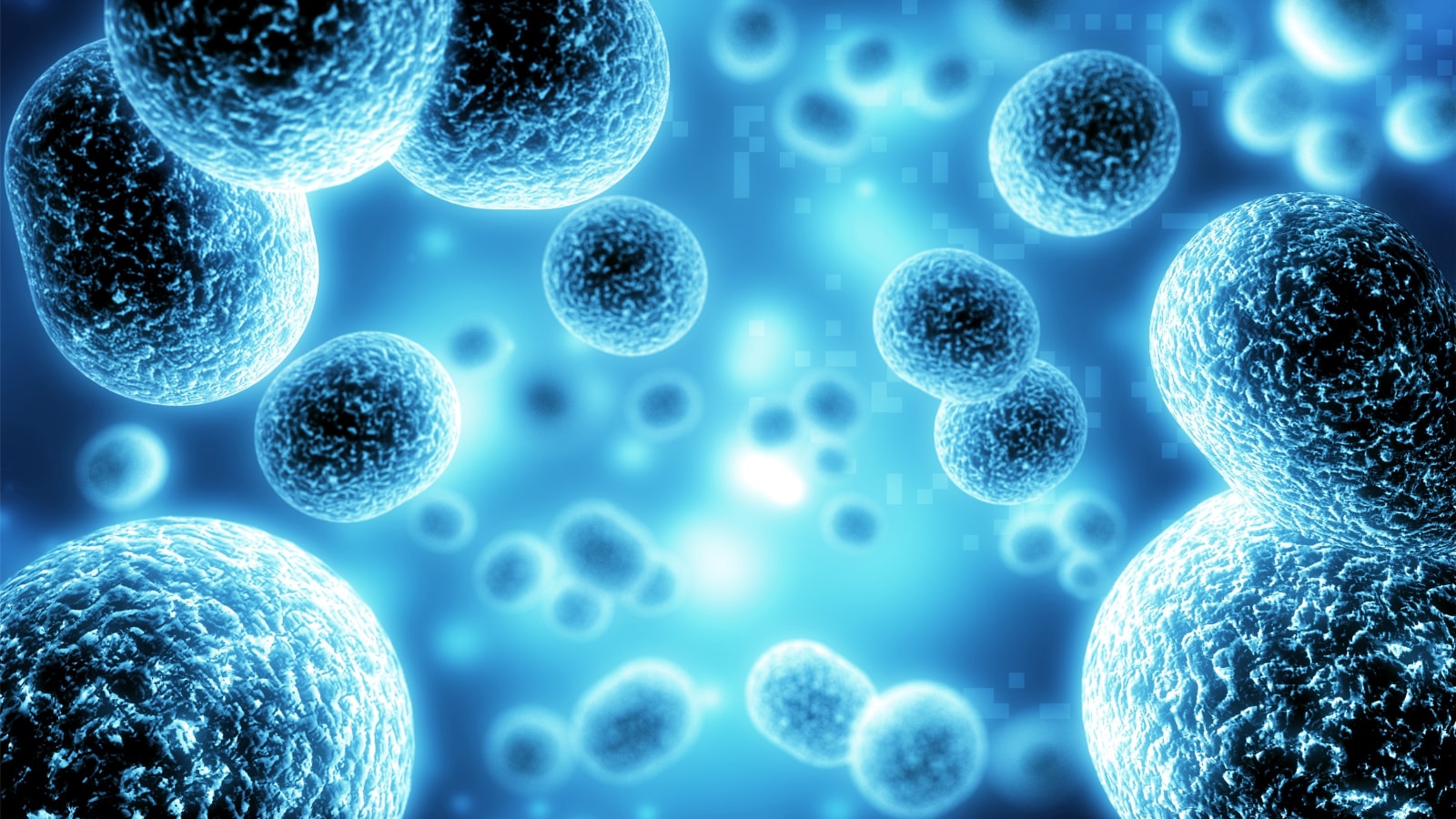 Syphilis, Gonorrhoea Cases Surge Out Of Control, Europe Faces Worst STI ...
