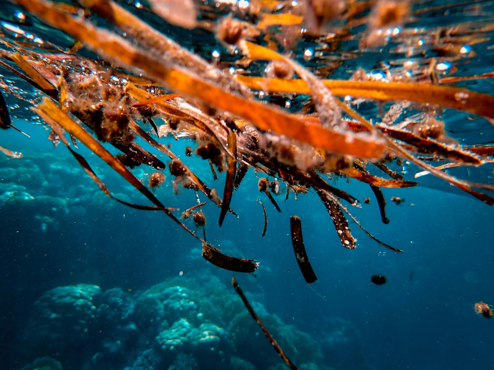 This Is The Only Sea On The Earth With No Shores