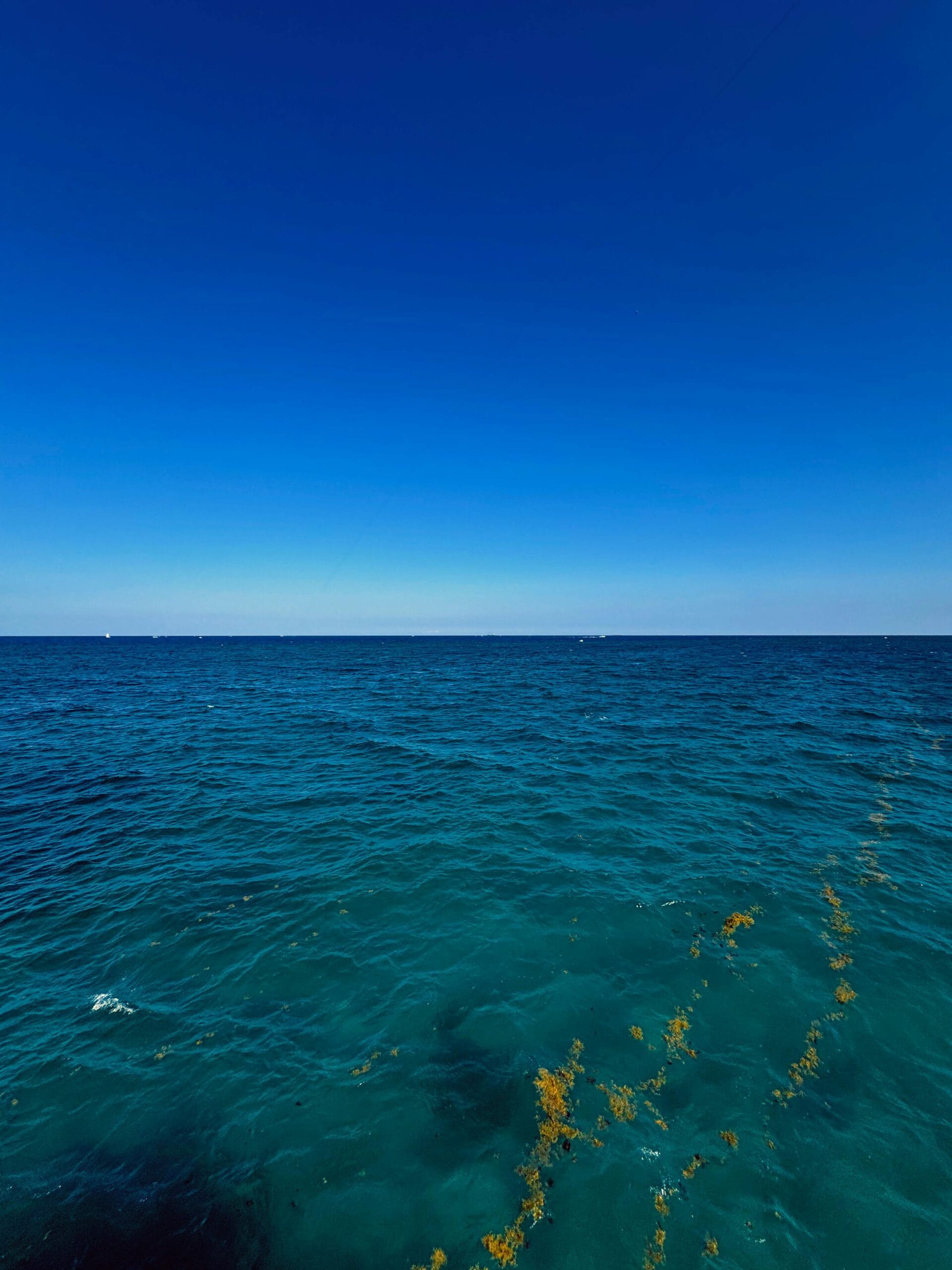 This Is The Only Sea On The Earth With No Shores