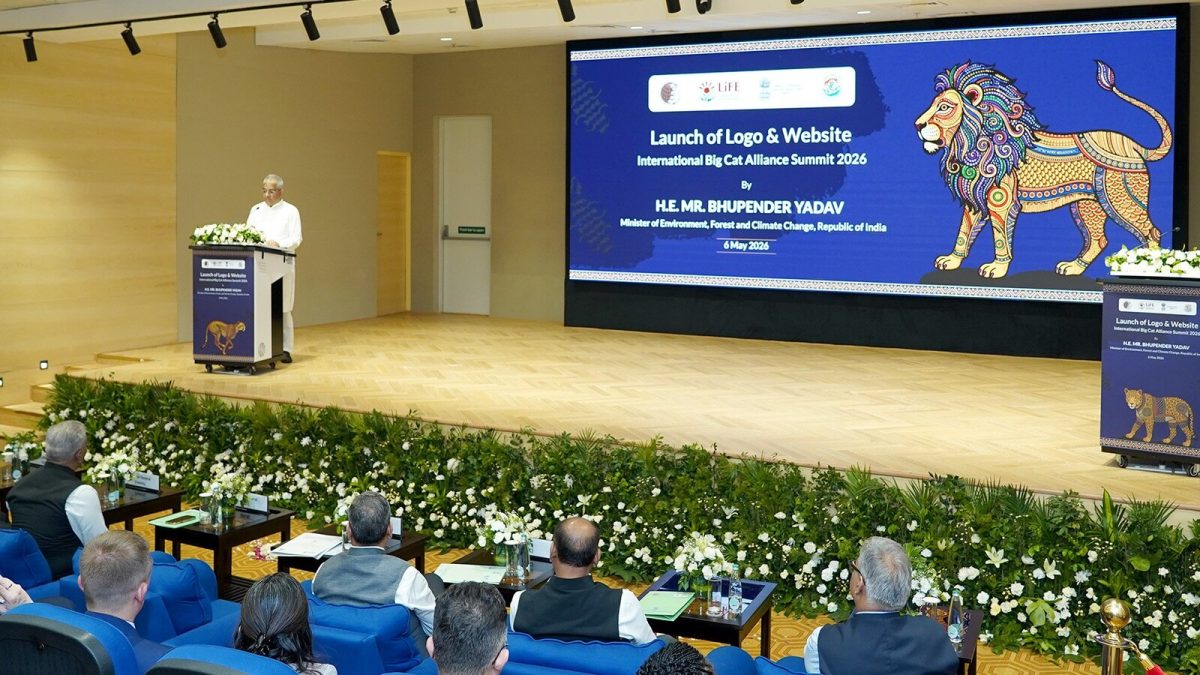 New Delhi Prepares To Host First Global Summit On Conserving Seven Big ...