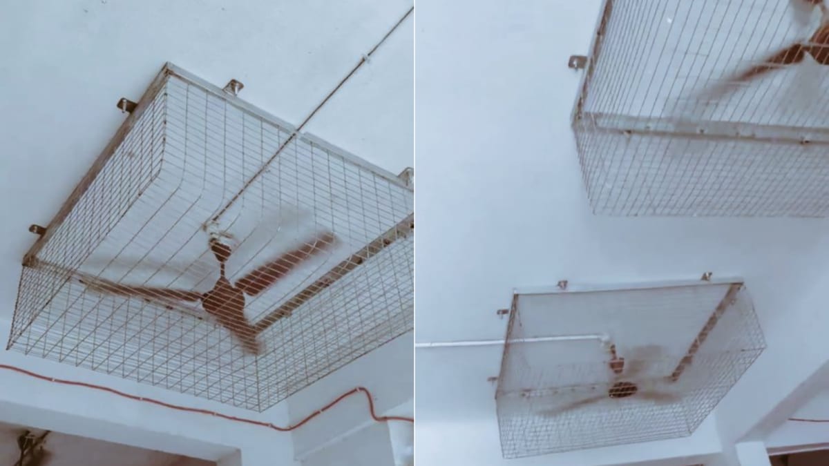 Kota Hostels Install Iron Cages Around Ceiling Fans Amid Rising ...