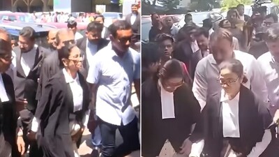 'It's Not A Fancy Dress Competition': Mamata Banerjee’s Lawyer Look at ...