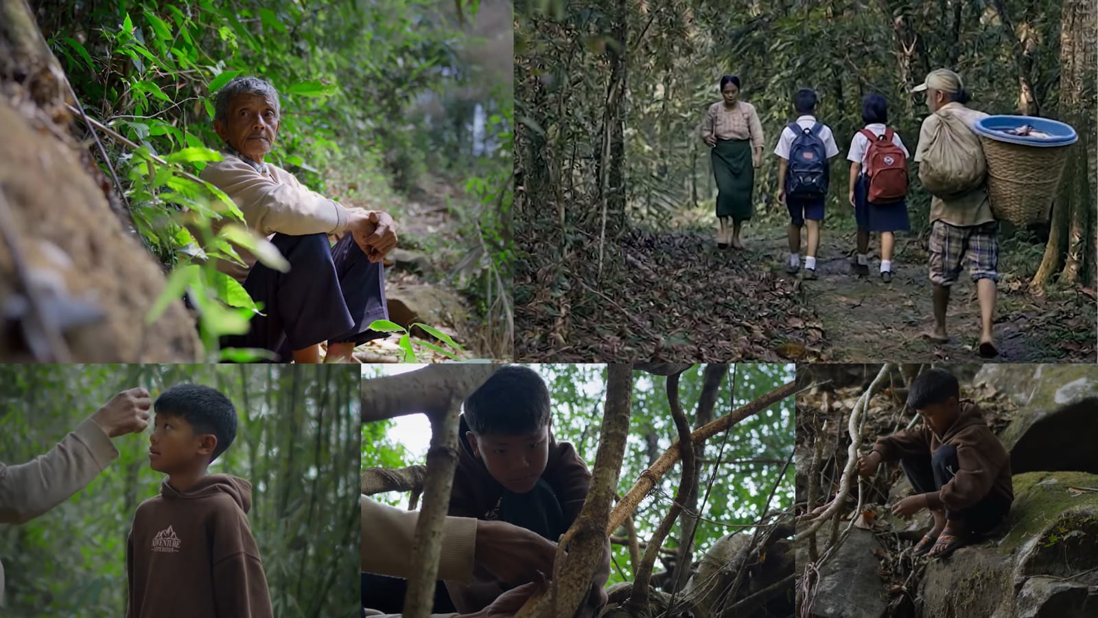 Meet The Man Behind Meghalaya’s Living Root Bridges: Hally War Gets ...