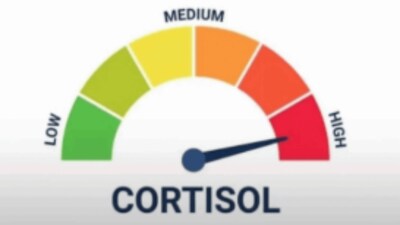 What Is Cortisol Spike And Why GenZ Turned A Stress Hormone Into A ...