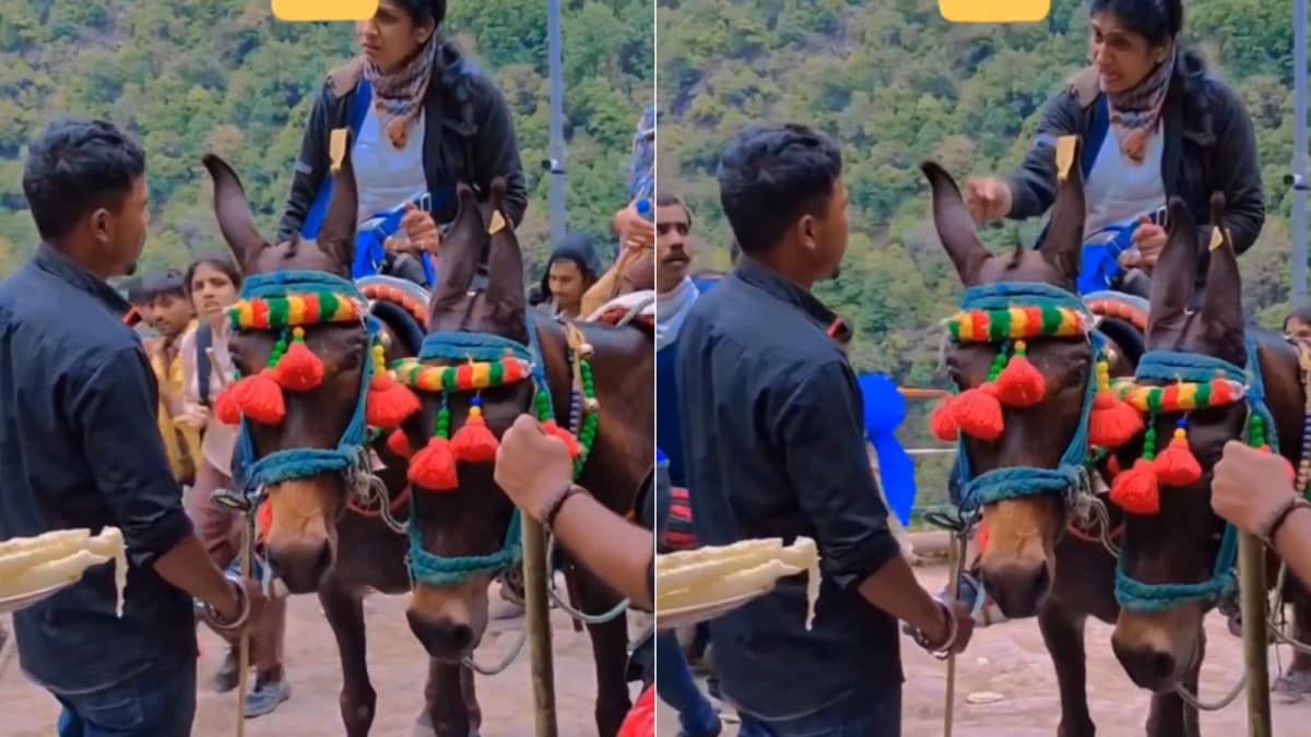 Viral Video Shows Woman Threatening Mule Handler In Kedarnath: 'One ...