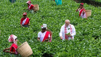 Assam Election Results: PM Modi’s Tea Garden Outreach Turns Congress ...