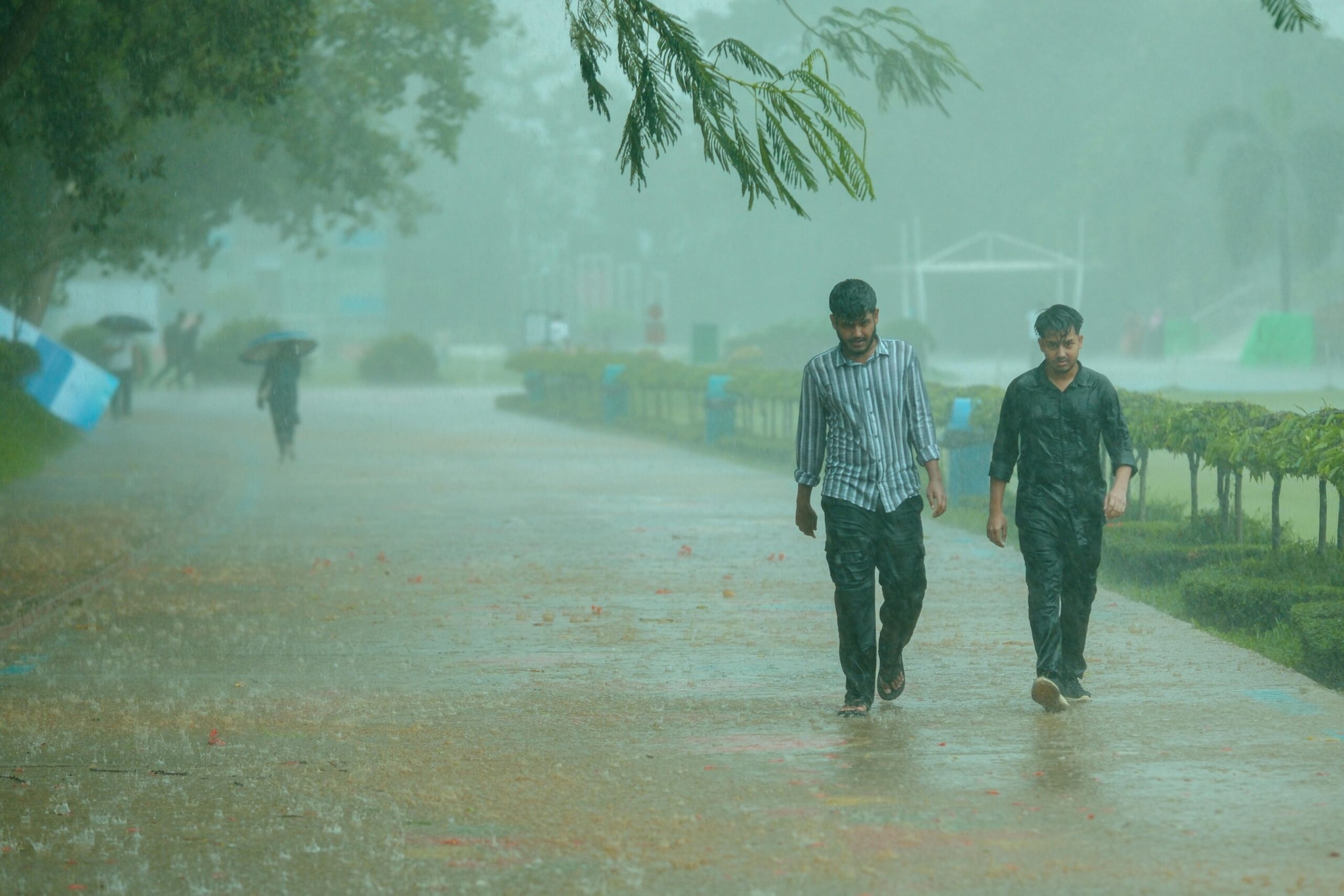Monsoon Magic On Wheels: 6 Indian Road Trips You Must Take This Season