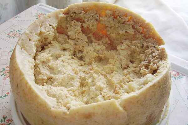 Cheese News: Latest Cheese News and Updates at News18